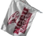 NCCU Flags